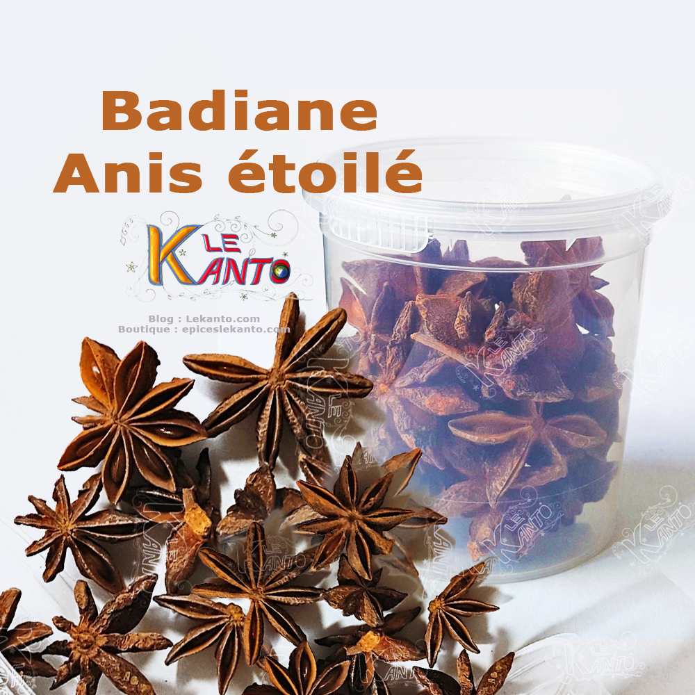 BADIANE CHINOISE OU ANIS ÉTOILÉ-24 gr - Epiceslekanto