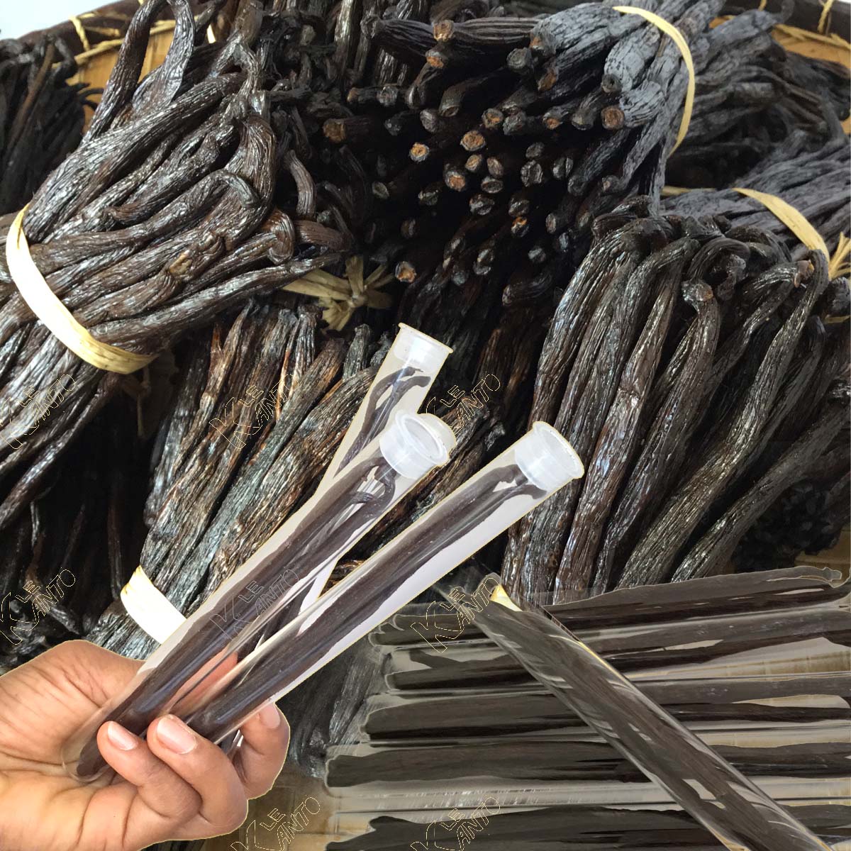 La Vanille de Madagascar | Origine région SAVA - Epiceslekanto